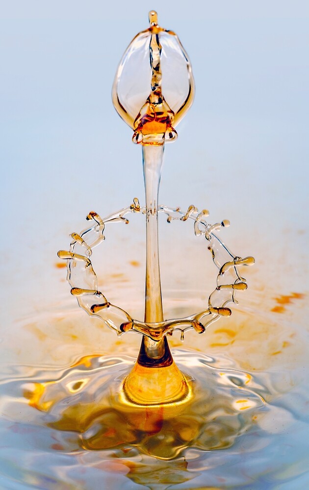 "Amber Splash" by Jay Payne | Redbubble