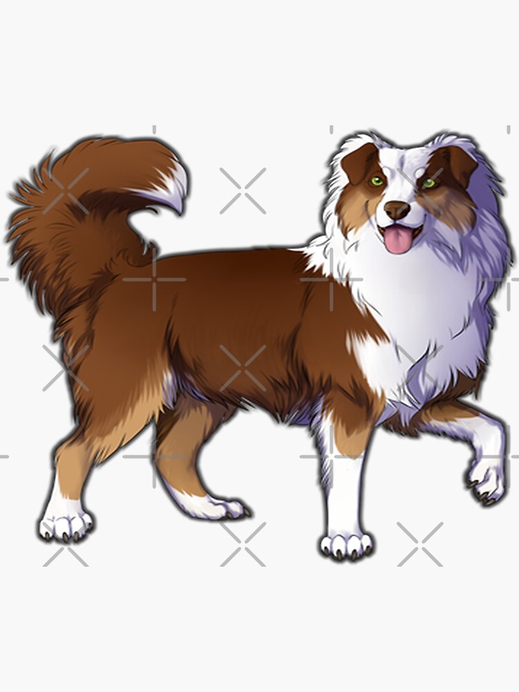 "Red Tri Australian Shepherd" Sticker for Sale by Pam069 | Redbubble
