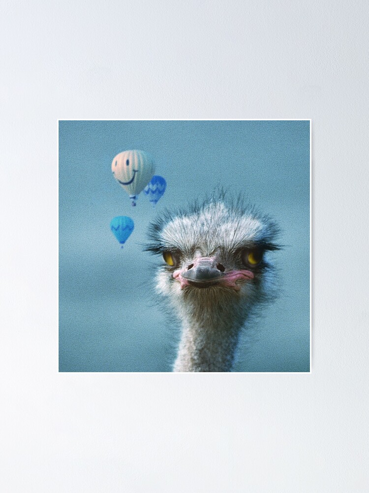 "Ostrich and Balloons Whimsical Photo" Poster by DEC02 | Redbubble