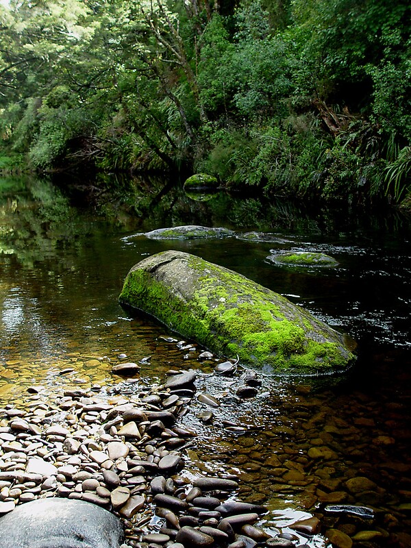 "Tahakopa River, The Catlins" by Craig Stonyer | Redbubble