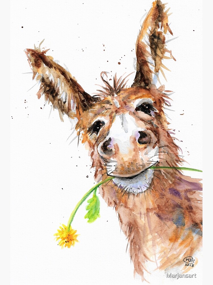"Cute Cheeky Donkey with Flower" Art Print by Marjansart | Redbubble