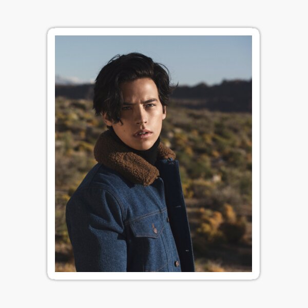 "Cole Sprouse " Sticker for Sale by caitlinwashere | Redbubble