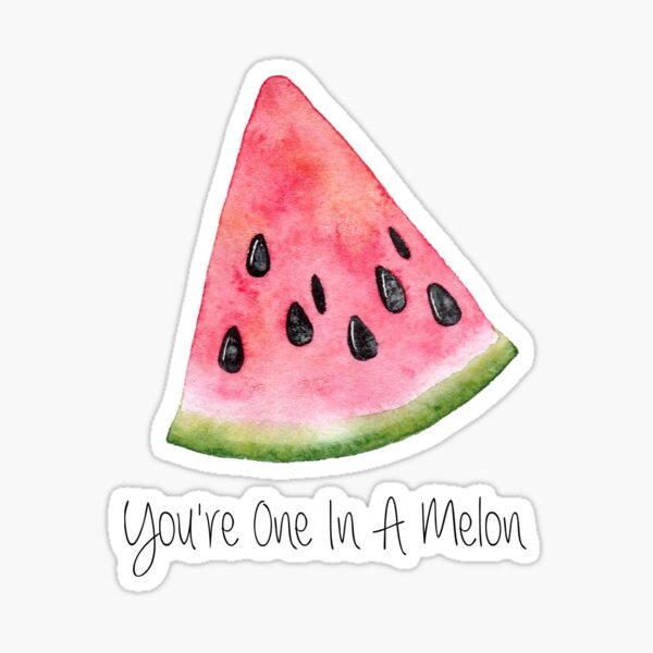 "You're one in a melon, watermelon puns, funny words, motivational ...