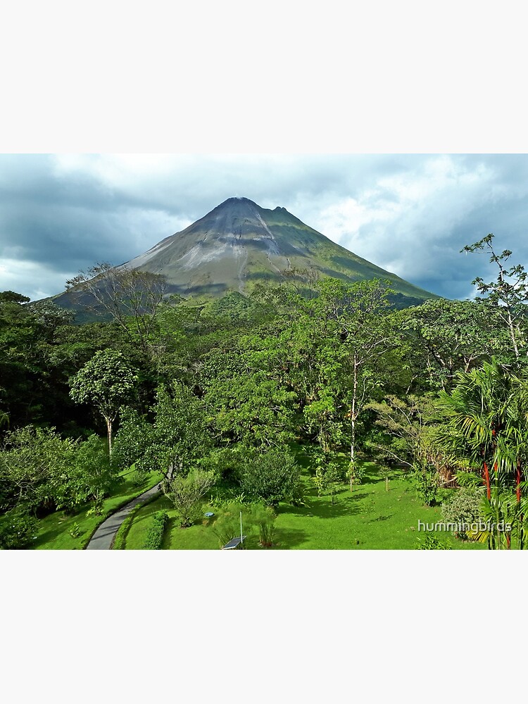 "Arenal Volcano Garden View" Poster for Sale by hummingbirds | Redbubble