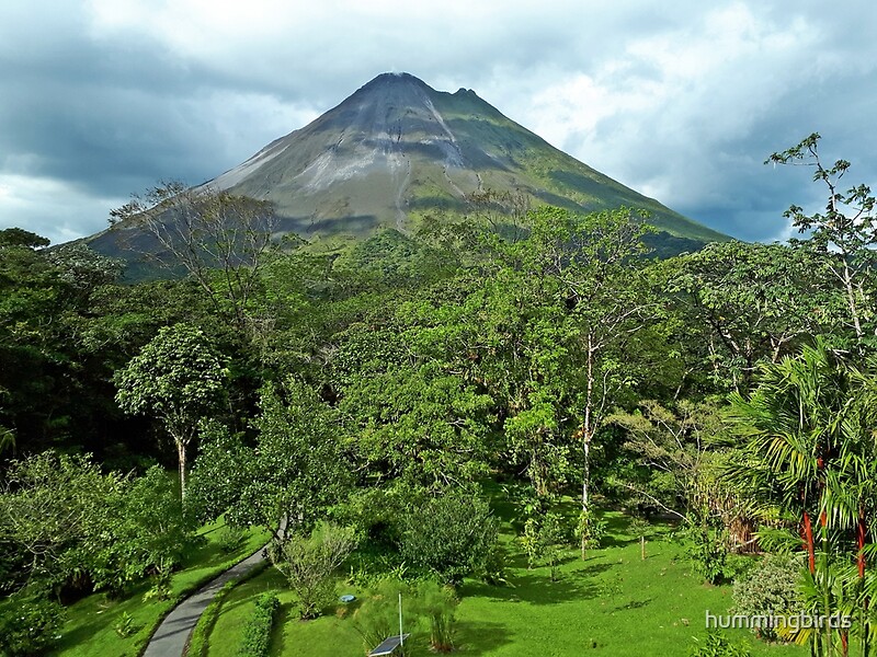 "Arenal Volcano Garden View" by hummingbirds | Redbubble