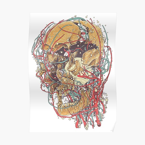 "Venomous venous" Poster by sandrofreitas | Redbubble