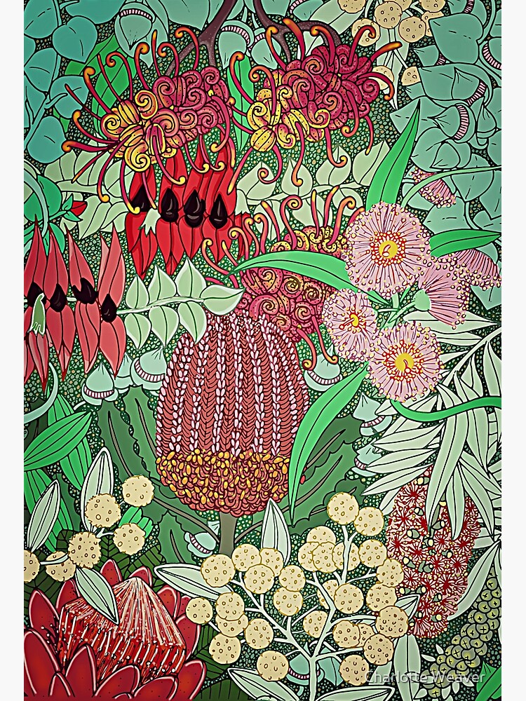"Australian Natives Botanical Pattern" Poster for Sale by Charlotte ...