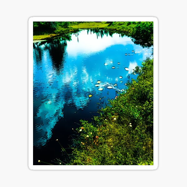 "Little pond in the water swamp" Sticker for Sale by MelanieNad | Redbubble
