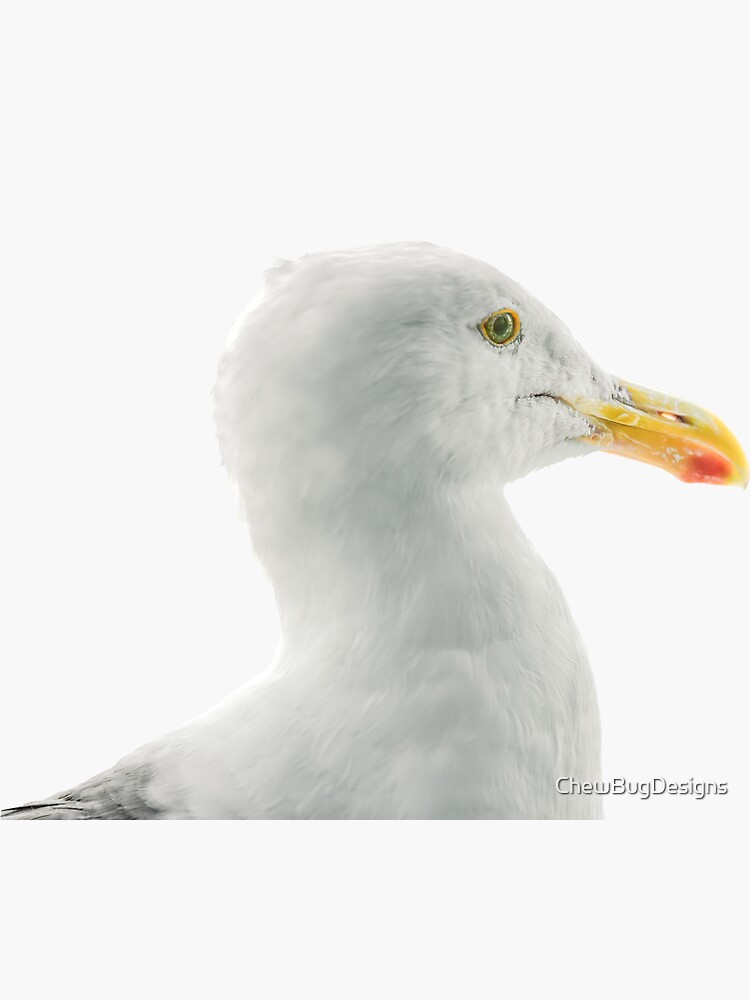 "Seagull Side Profile" Sticker for Sale by ChewBugDesigns | Redbubble