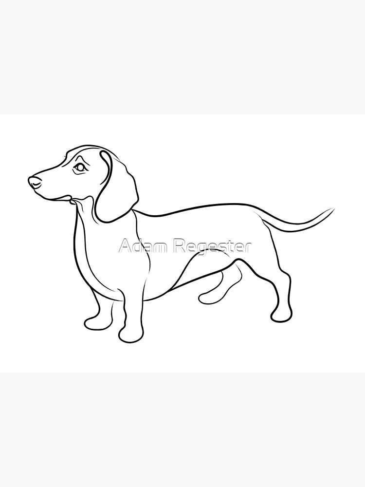 "Dachshund Line Drawing" Metal Print for Sale by AdamRegester | Redbubble