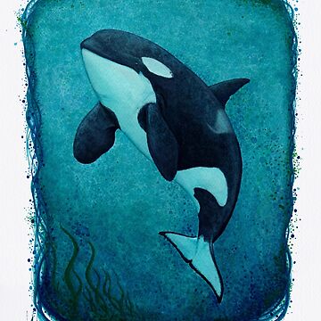 ""The Matriarch" by Amber Marine ~ killer whale / orca watercolor ...