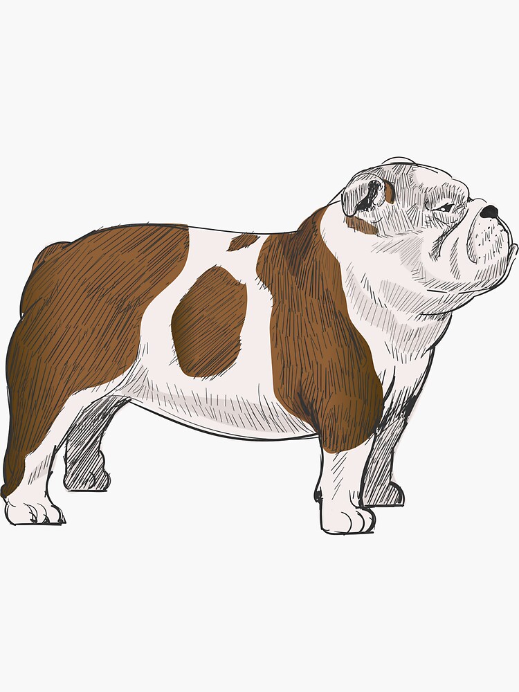 "English Bulldog" Sticker for Sale by MerchPrints | Redbubble