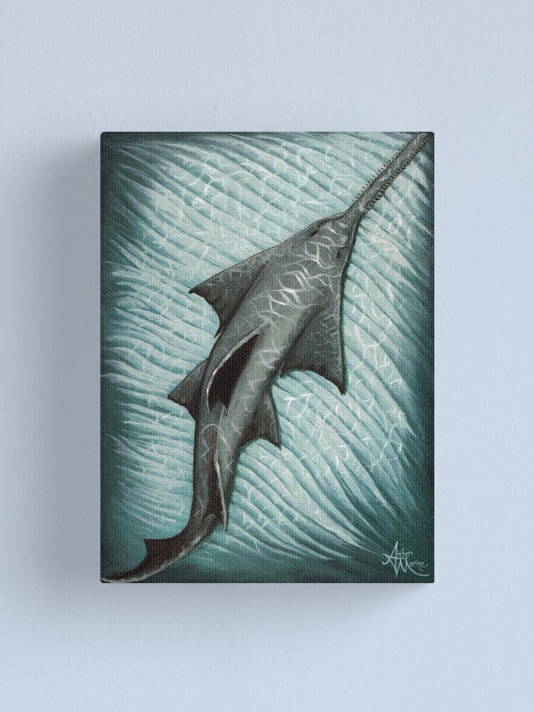 ""Sawfish" by Amber Marine ~ Acrylic painting, art © 2015" Canvas Print ...