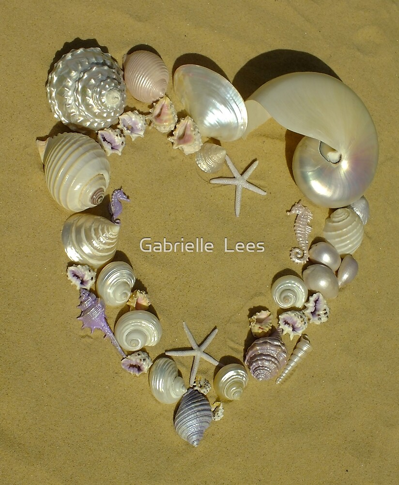 "Love Sea Shells" by Gabrielle Lees | Redbubble