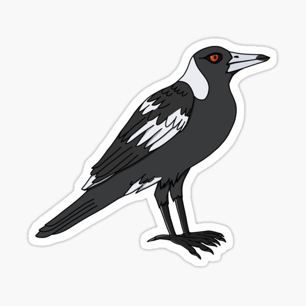 Australian Magpie Stickers | Redbubble