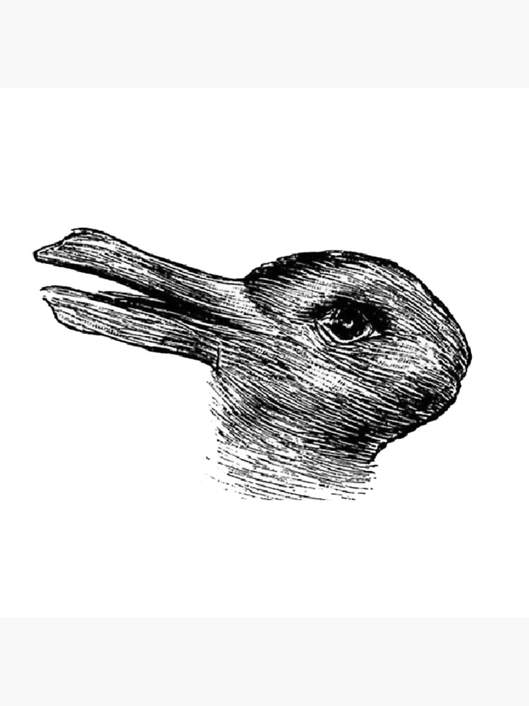 Rabbit duck illusion Premium Matte Vertical Poster sold by Bahrain ...