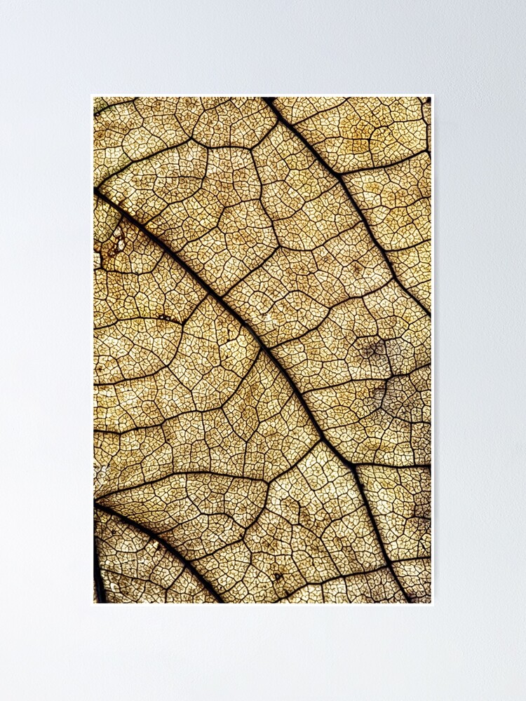 "Autumn leaf structure" Poster by fardad | Redbubble