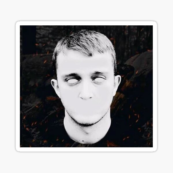 "VALD " Sticker for Sale by F430 | Redbubble