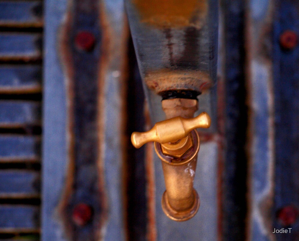 "Faucing It!" by JodieT | Redbubble