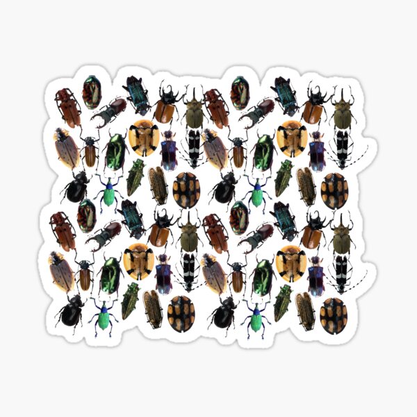 "Bugs!" Sticker for Sale by MBowOK | Redbubble