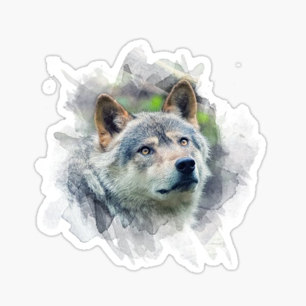 "grey Wolf" Sticker by Pearcatprod | Redbubble