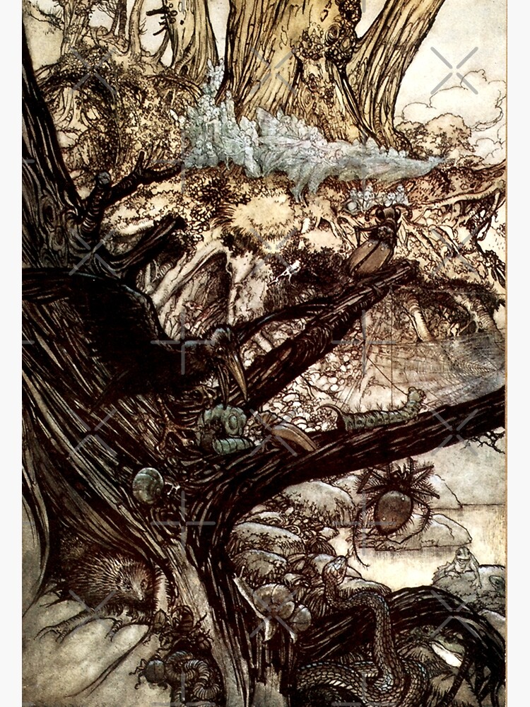 "Fairies and Forest Creatures - Arthur Rackham" Poster by ...