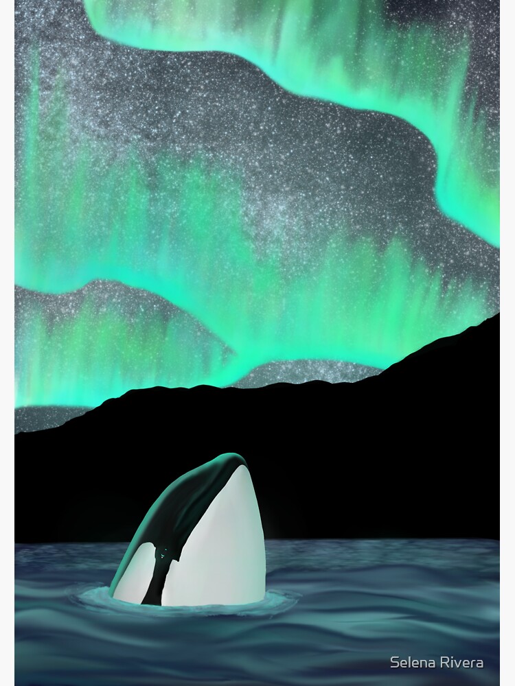 "Orca Aurora Borealis." Sticker for Sale by savagerman | Redbubble