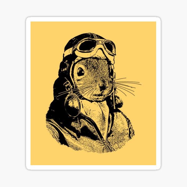 "Pilot Squirrel" Sticker for Sale by astrutt | Redbubble