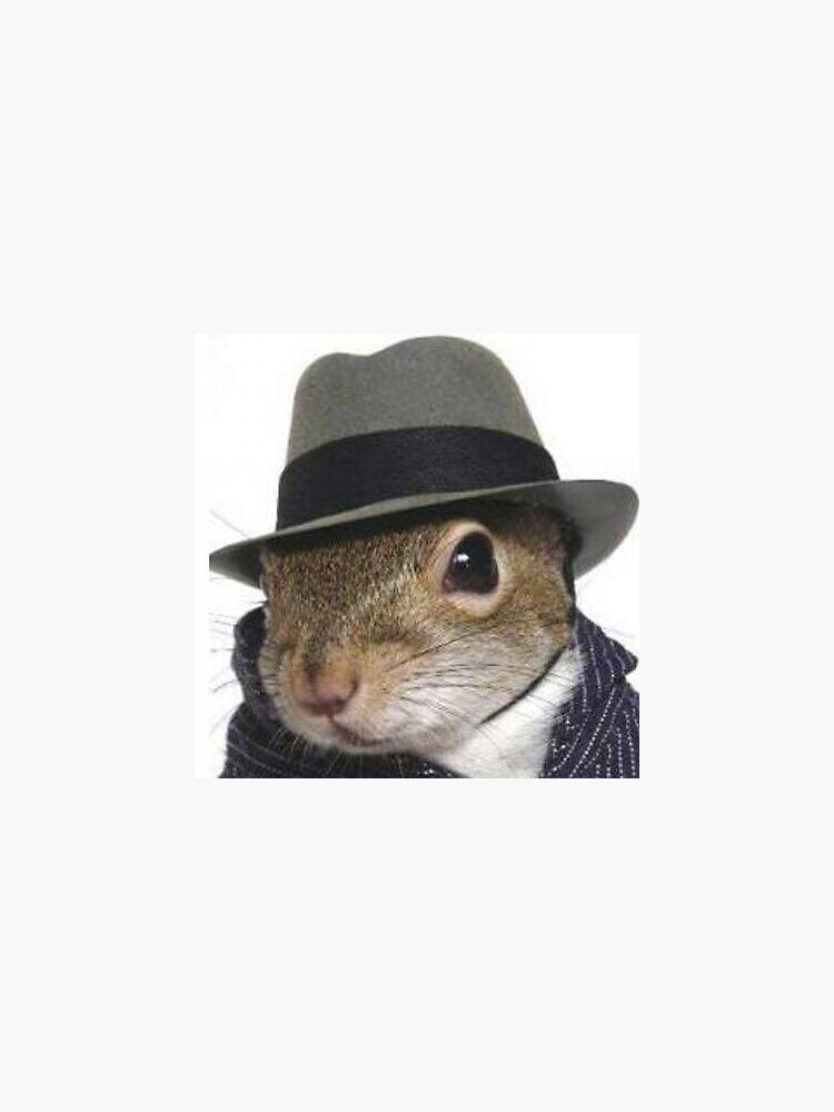 "Detective Squirrel" Sticker for Sale by astrutt | Redbubble