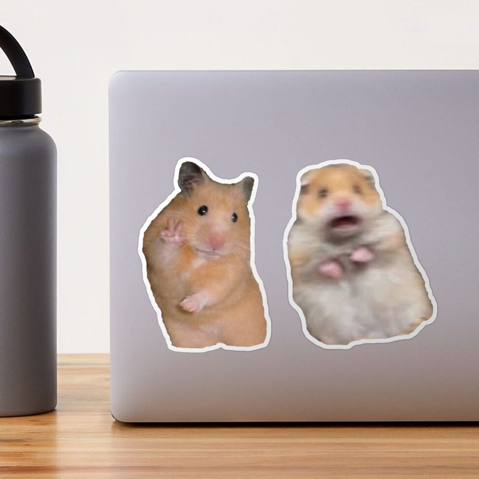 Peace Sign Hamster Meme Cartoon Digital Drawing R/redbubble, 59% OFF