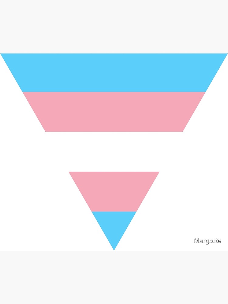 "Triangle transgender flag" Canvas Print for Sale by Margotte | Redbubble