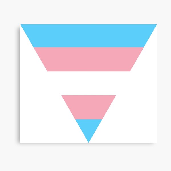 "Triangle transgender flag" Canvas Print for Sale by Margotte | Redbubble
