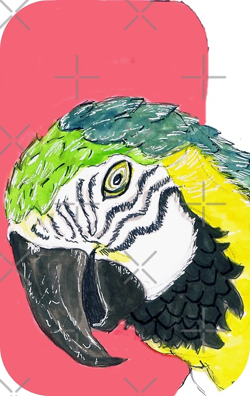 "Hello Hello ...parrot! ...:o)" by angipangi7 | Redbubble