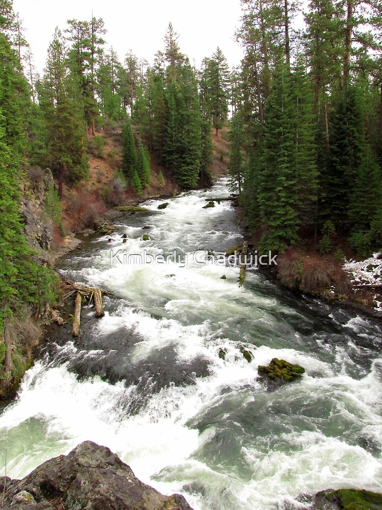"Benham Falls ~ Deschutes National Forest ~ Bend, Oregon" by Kimberly ...