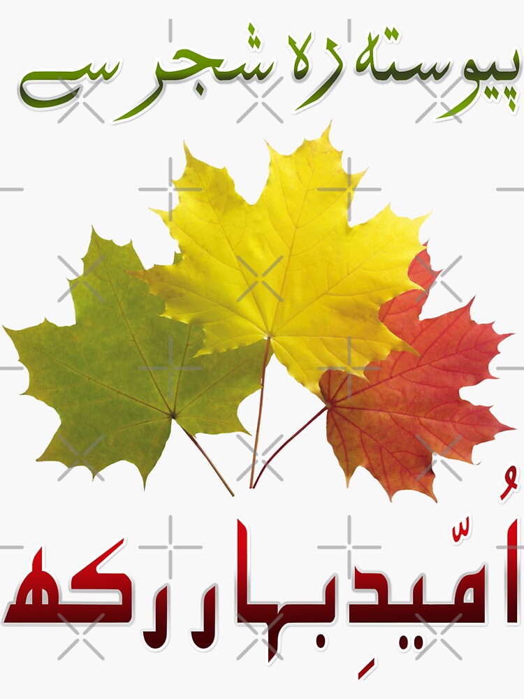"Pewasta Reh Shajar Se, Umeed e Bahar Rakh – Allama Iqbal" Sticker for ...
