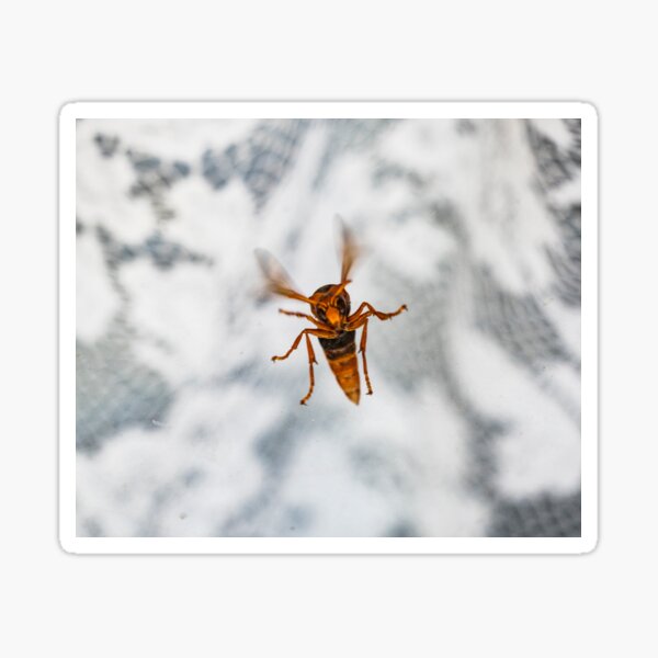"Wasp" Sticker for Sale by Varietas | Redbubble