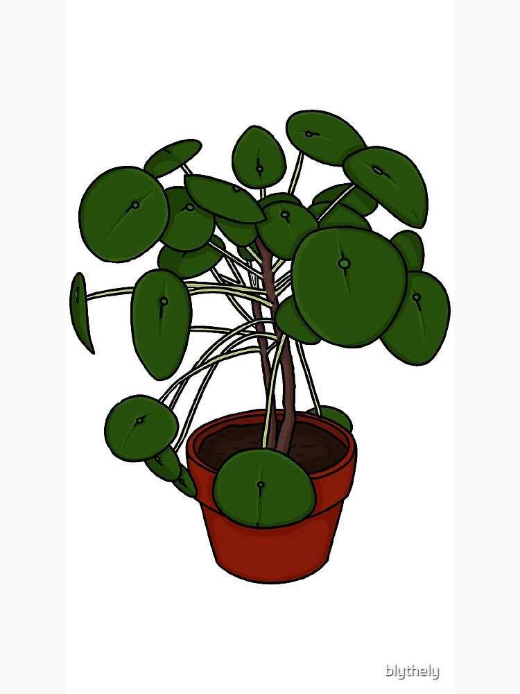 "Chinese Money Tree Cartoon" Photographic Print by blythely | Redbubble