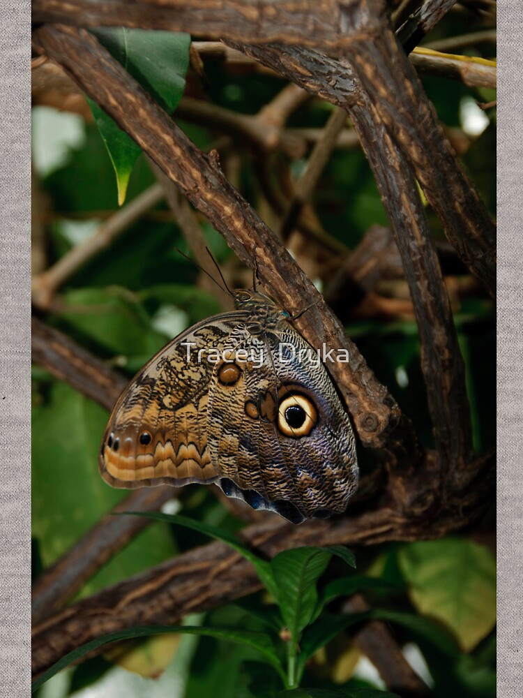 "It's all in the Eyes!! - Carleton University, Ottawa, Ontario ...