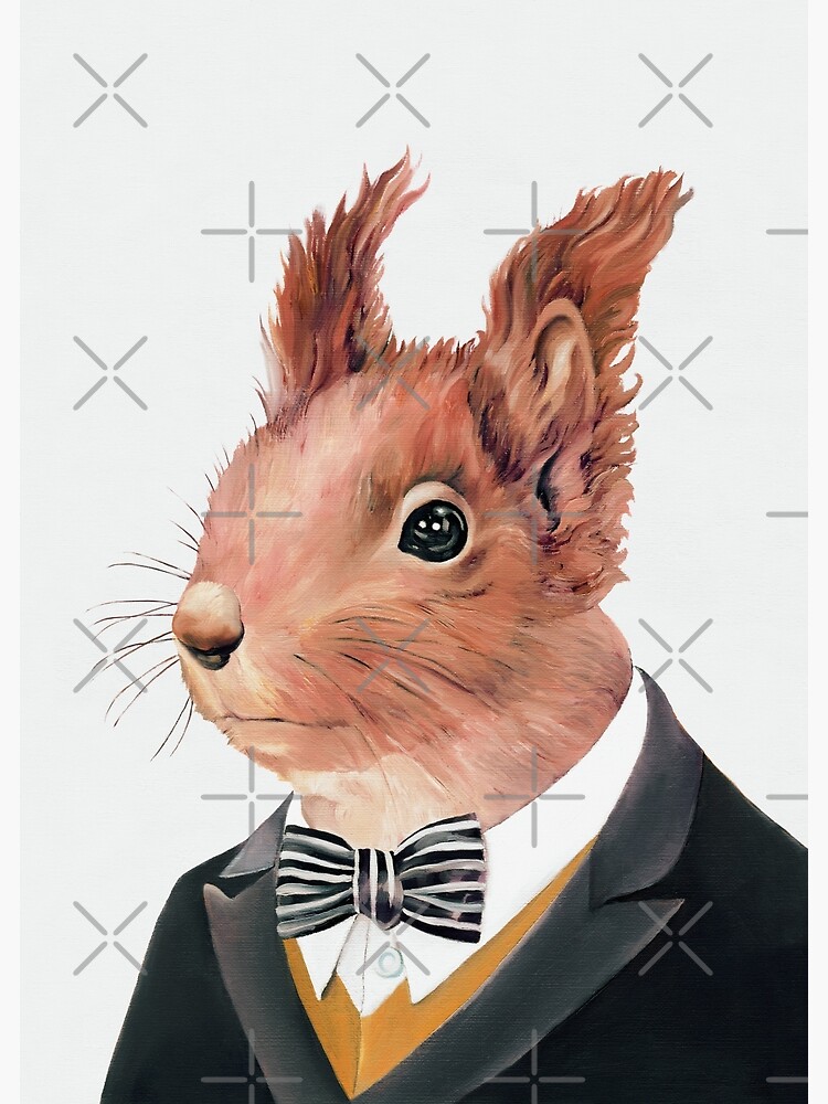 "Red Squirrel" Poster for Sale by AnimalCrew | Redbubble