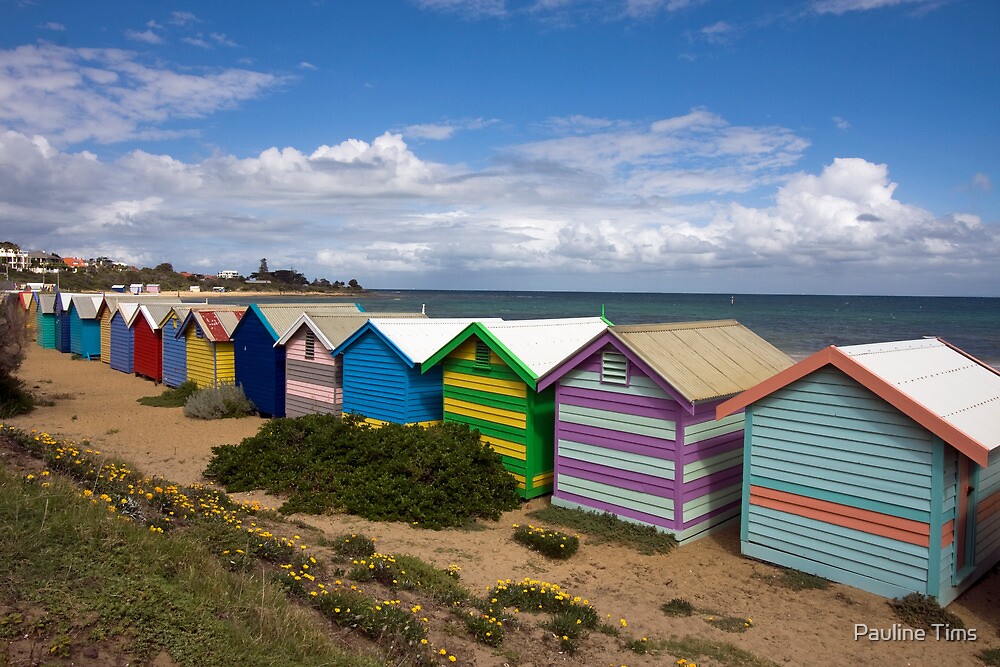 "Brighton Bathing Huts " by Pauline Tims | Redbubble