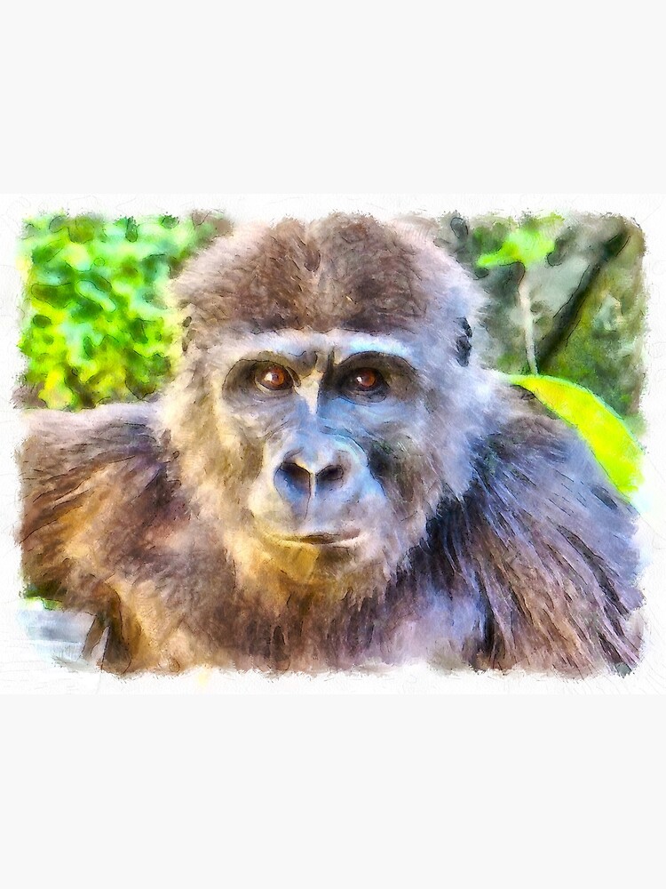 "Bonobo Watercolor" Art Print for Sale by Fjfichman | Redbubble