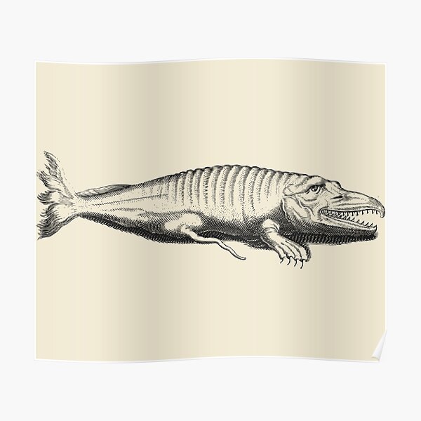 "Razortooth Fish Antique Drawing | Ancient Fine Art Illustration ...
