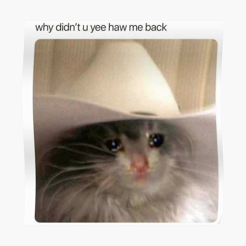 "Sad Meowdy Yeehaw Cat" Poster by BBDaBlu | Redbubble