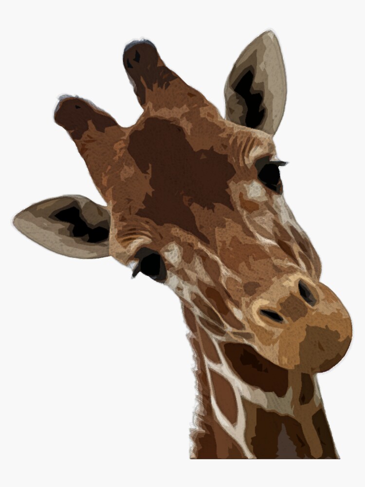 "Giraffe Head Cutout" Sticker for Sale by ImTheClay | Redbubble