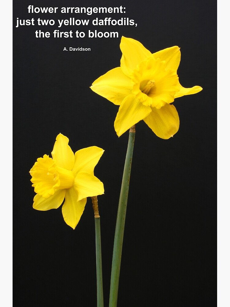 Daffodil Quotes