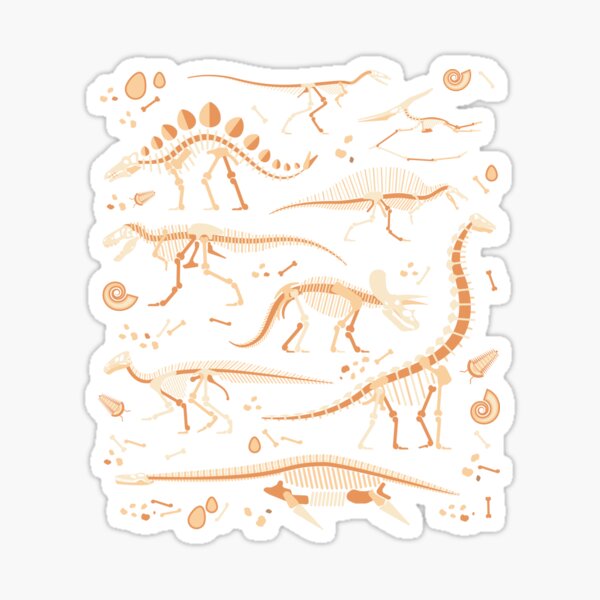 "Dinosaur Skeleton Fossils Paleontologist Gift " Sticker by drlayson ...