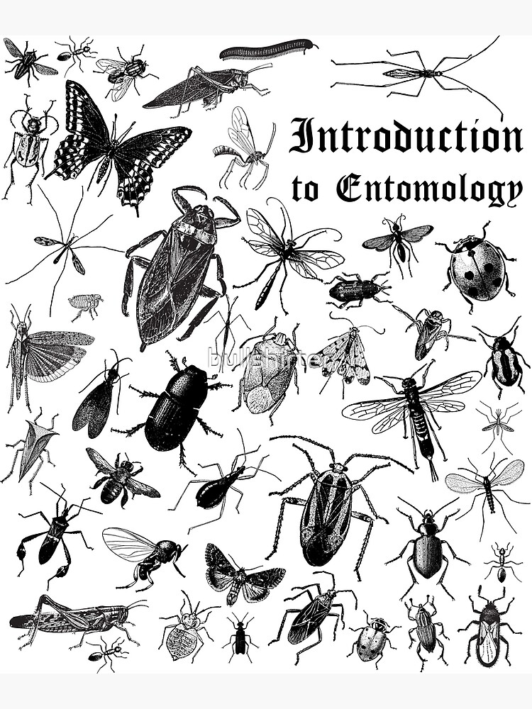 "An Introduction to Entomology" Poster by bullshirter | Redbubble