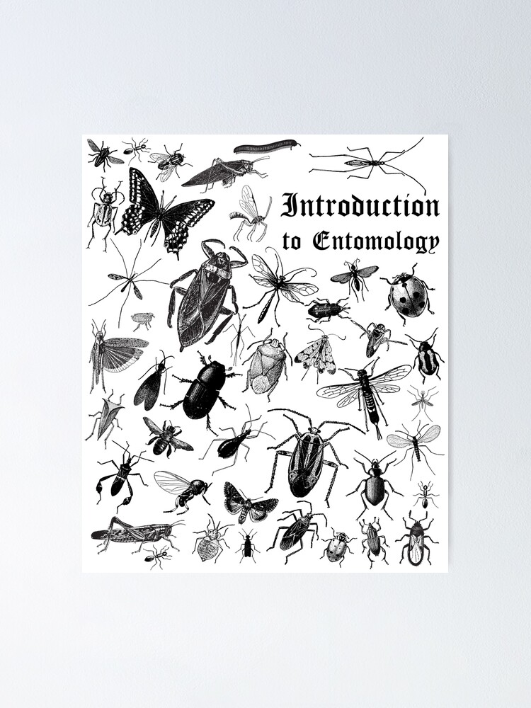 "An Introduction to Entomology" Poster by bullshirter | Redbubble