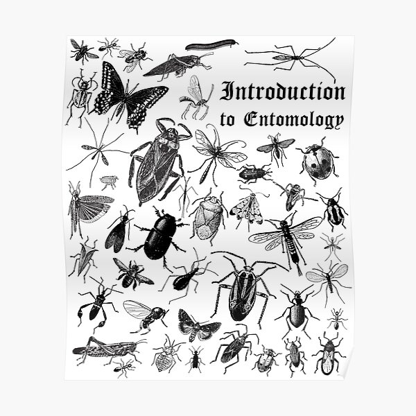 "An Introduction to Entomology" Poster by bullshirter | Redbubble