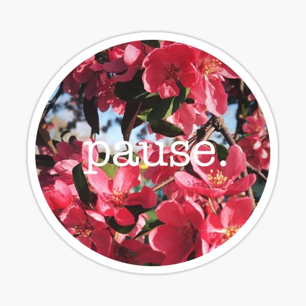 "pause." Sticker for Sale by ItsBritknee17 | Redbubble